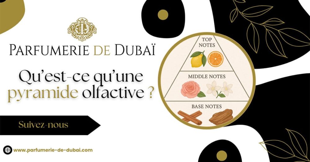 Olfactory pyramid | Understanding perfume composition
